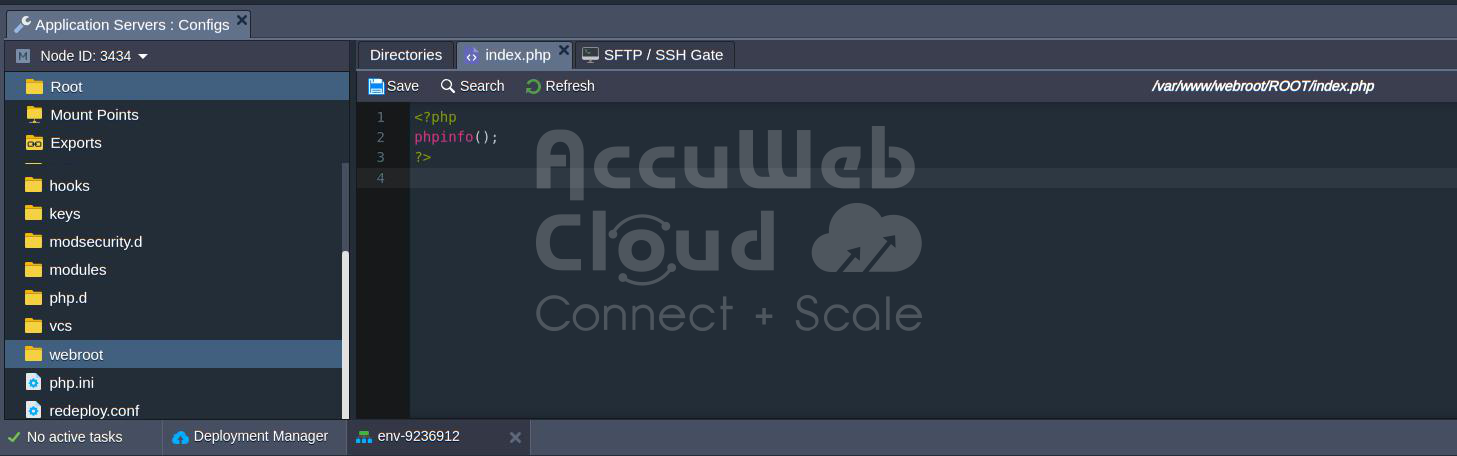 How to Install and Use ionCube Add-On? - AccuWeb Cloud