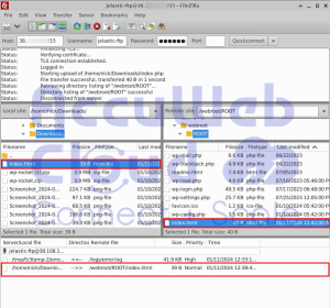 How to Transfer files using FileZilla? - AccuWeb Cloud