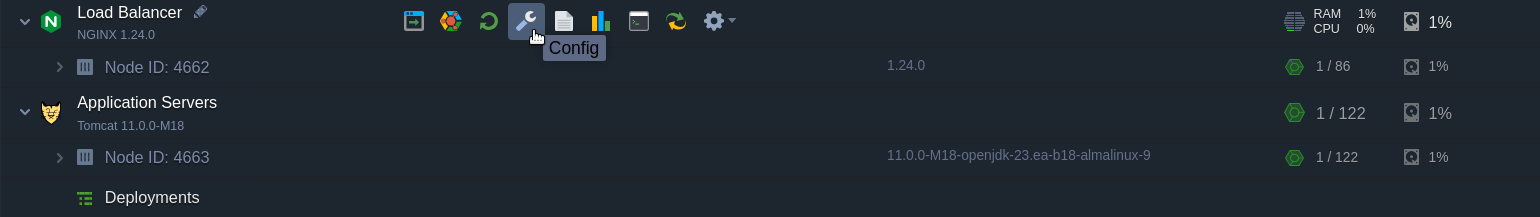 Protect Your Apps With Nginx Balancer Basic Security Measures