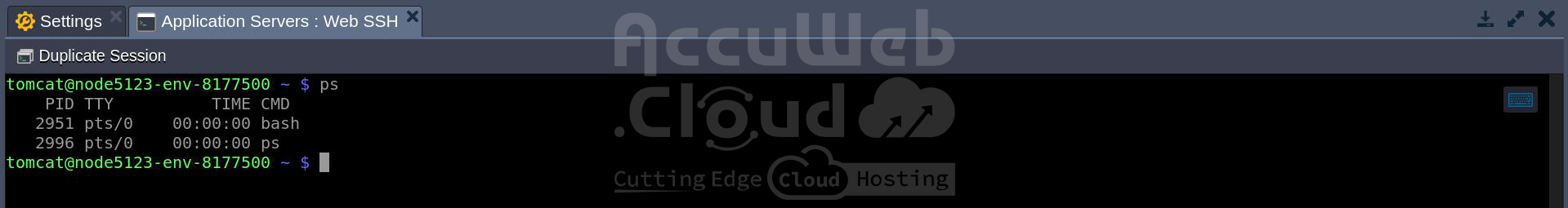 Mange server remotely with SSH access to the container