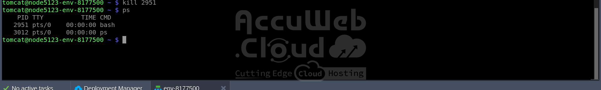 Mange server remotely with SSH access to the container