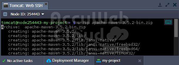 Mange server remotely with SSH access to the container