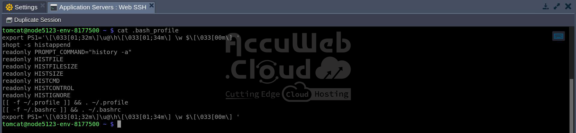 Mange server remotely with SSH access to the container