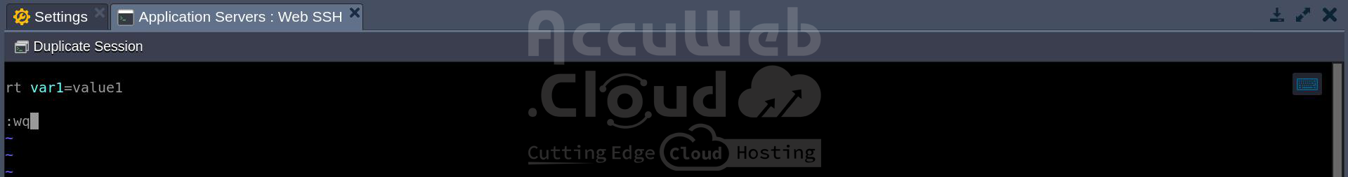 Mange server remotely with SSH access to the container