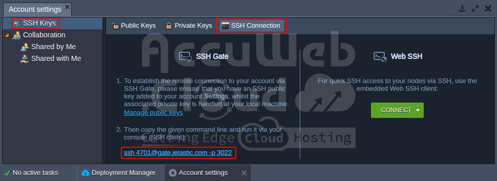 Mange server remotely with SSH access to the container