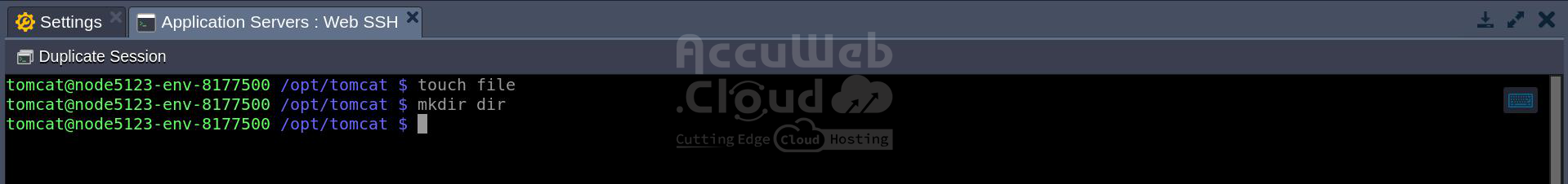 Mange server remotely with SSH access to the container