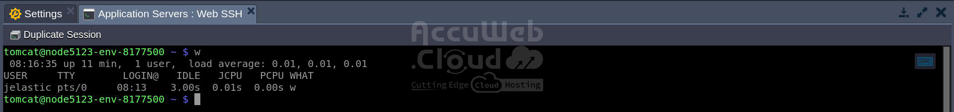 Mange server remotely with SSH access to the container