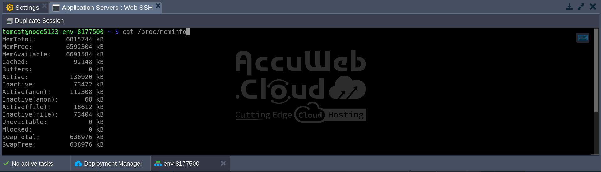 Mange server remotely with SSH access to the container