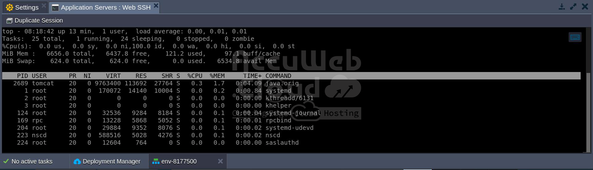 Mange server remotely with SSH access to the container