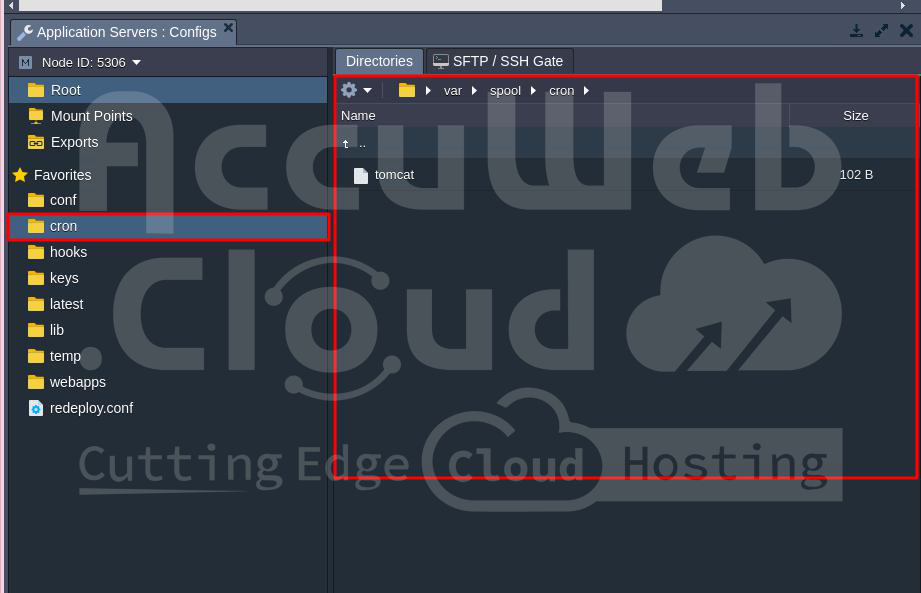 Java Application Server Configuration | AccuWeb.Cloud Guide