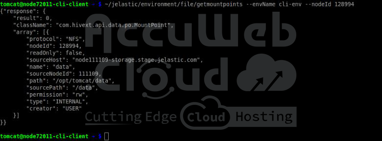 Create Mount Points Using Cli Accuwebcloud Guide