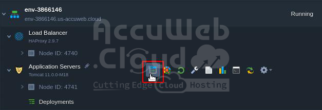 Connect to custom container | AccuWeb.Cloud