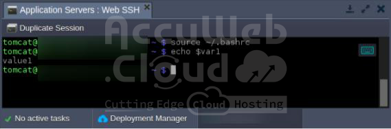 Configure Custom Environment Variables Accuwebcloud 