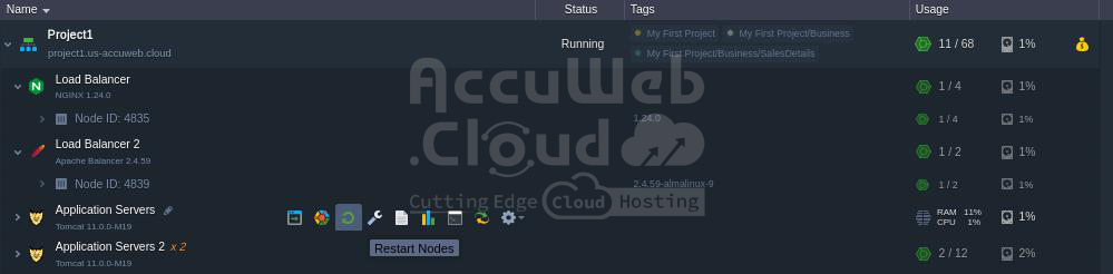 Configure Custom Environment Variables Accuwebcloud 