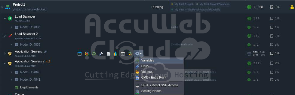 Configure Custom Environment Variables Accuwebcloud 