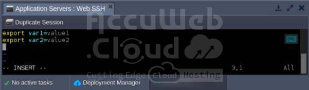 Configure Custom Environment Variables Accuwebcloud 