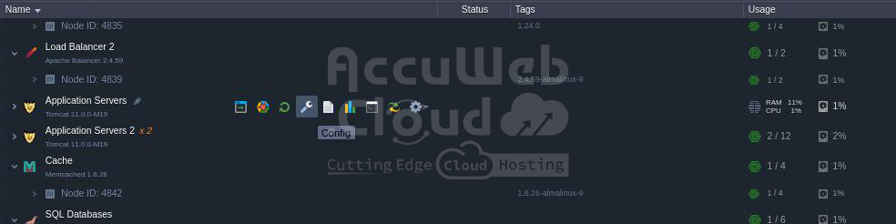 Configure Custom Environment Variables Accuwebcloud 
