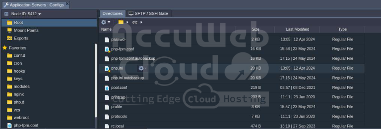 Secure PHP application with php.ini settings with AccuWeb.Cloud