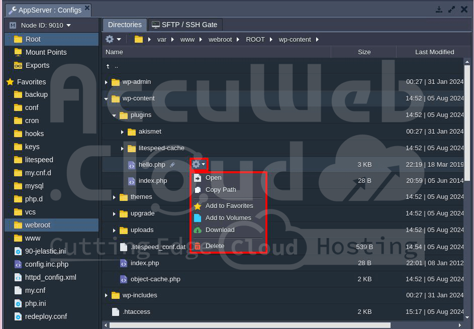 Manage Files Without Control Panel