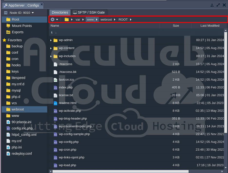 Manage Files Without Control Panel